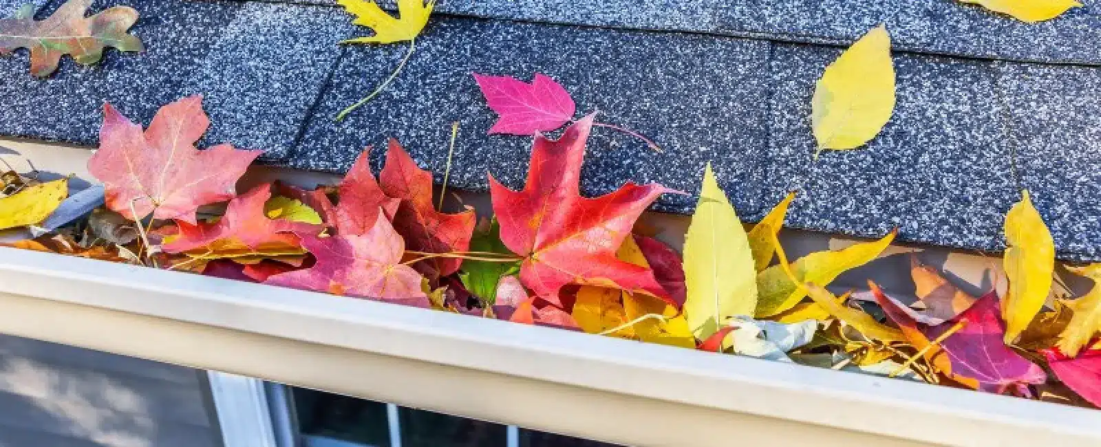 Fall Is the Perfect Time for Roof Repairs | Findlay Roofing